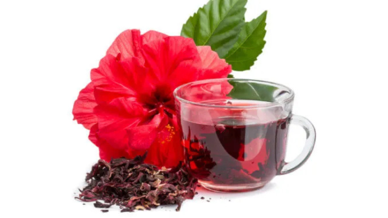 Amazing Hair Growth Benefits of Hibiscus Tea - HTI