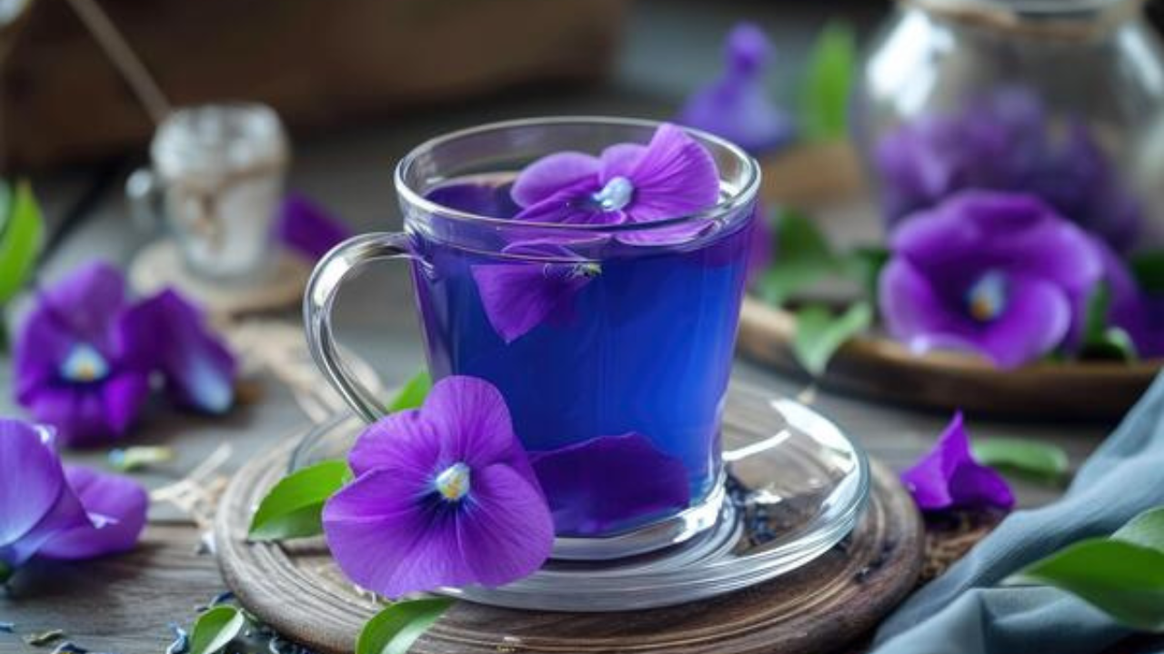 12 Surprising Benefits of Blue Tea for Boost Health - HTI