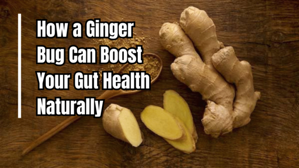How a Ginger Bug Can Boost Your Gut Health Naturally - HTI